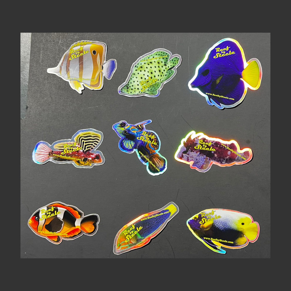 Reef Stickers – Reef By Steele