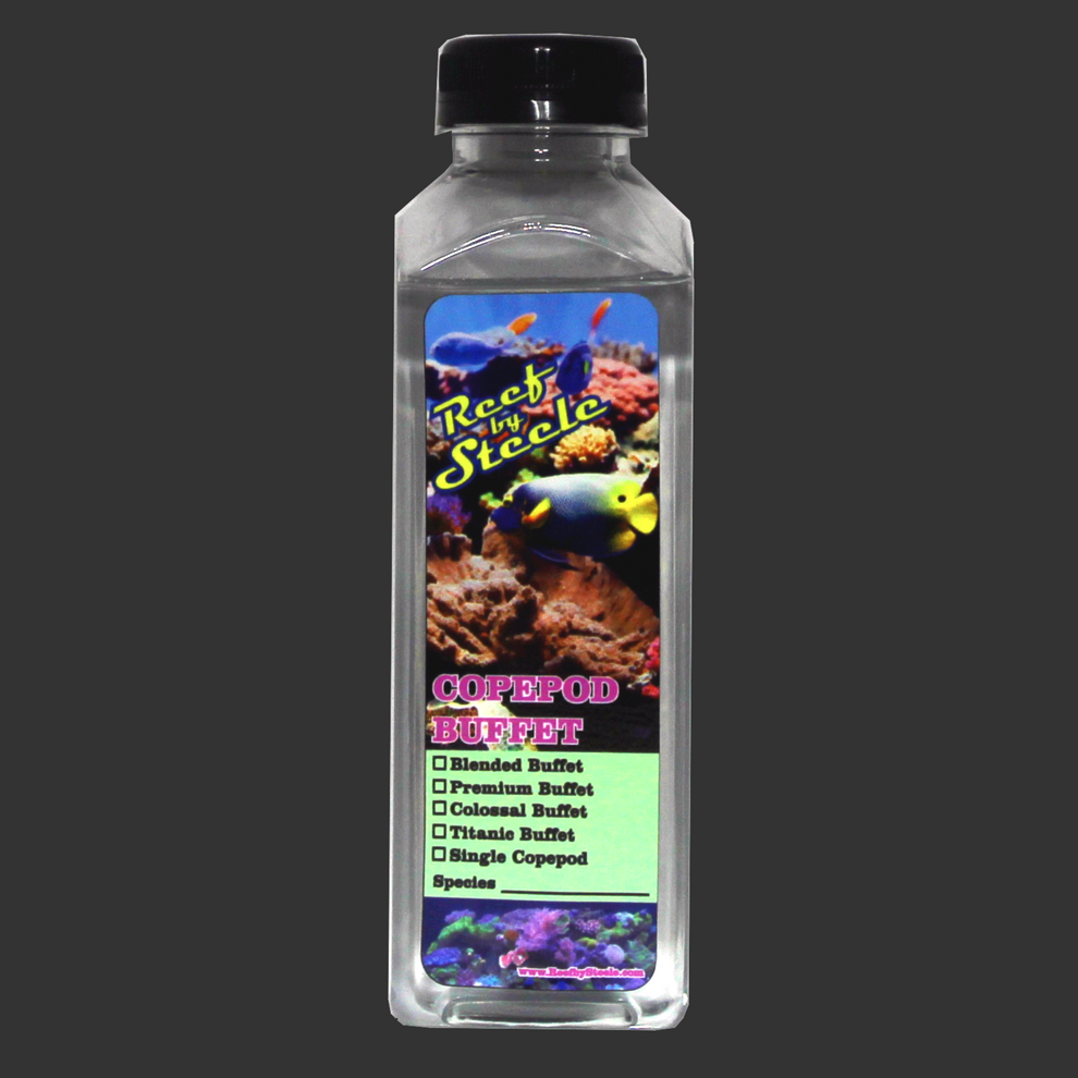 GIGANTIC DOUBLE POD BUFFET Benthic/Palegic – Reef By Steele