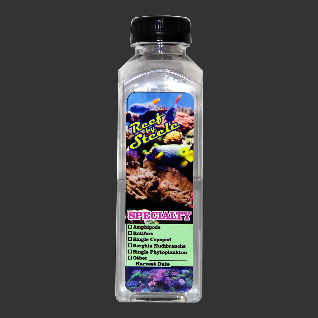 Plankton Culturing Kits A – Reef By Steele