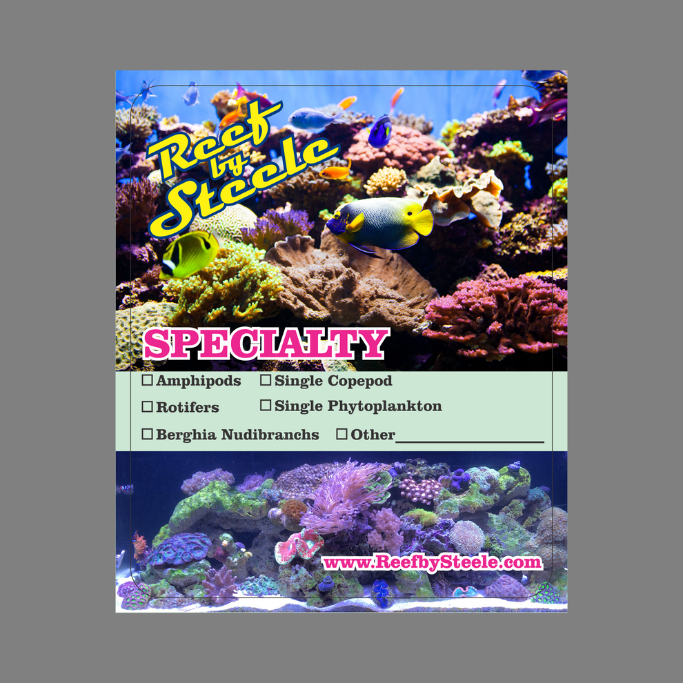 Single Strain Culture Phytoplankton Diatom – Reef By Steele